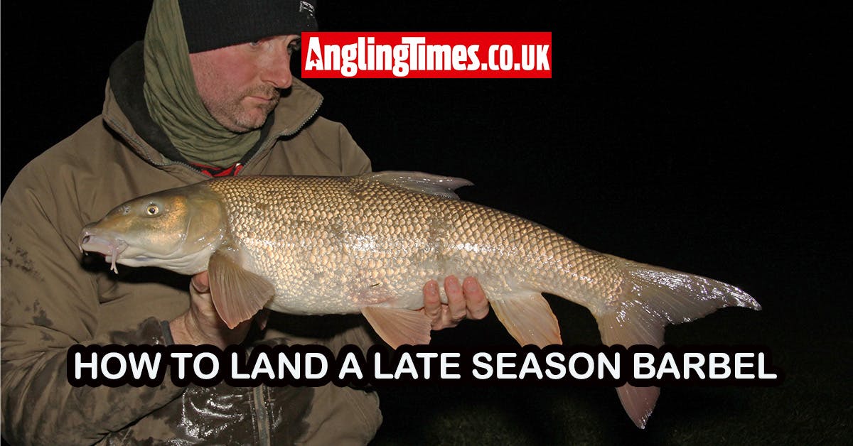 How to catch end of season barbel | Angling Times