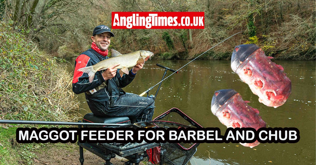 Use a maggot feeder to catch big barbel and chub | Angling Times