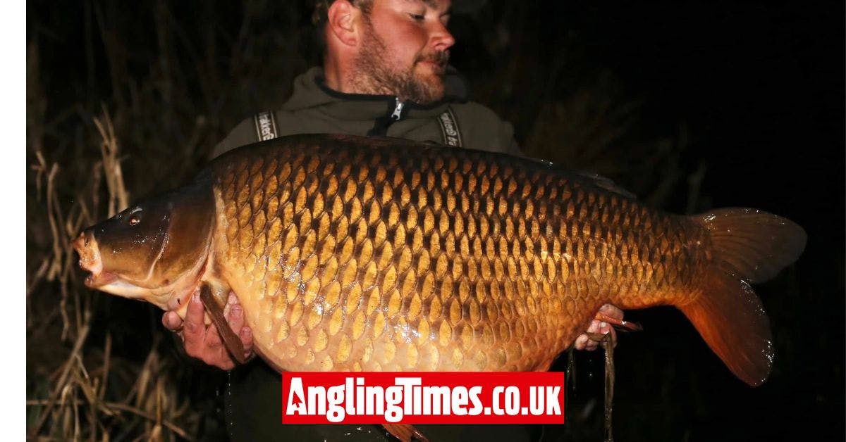 Sensational carp session topped by two UK 60lb fish | Angling Times