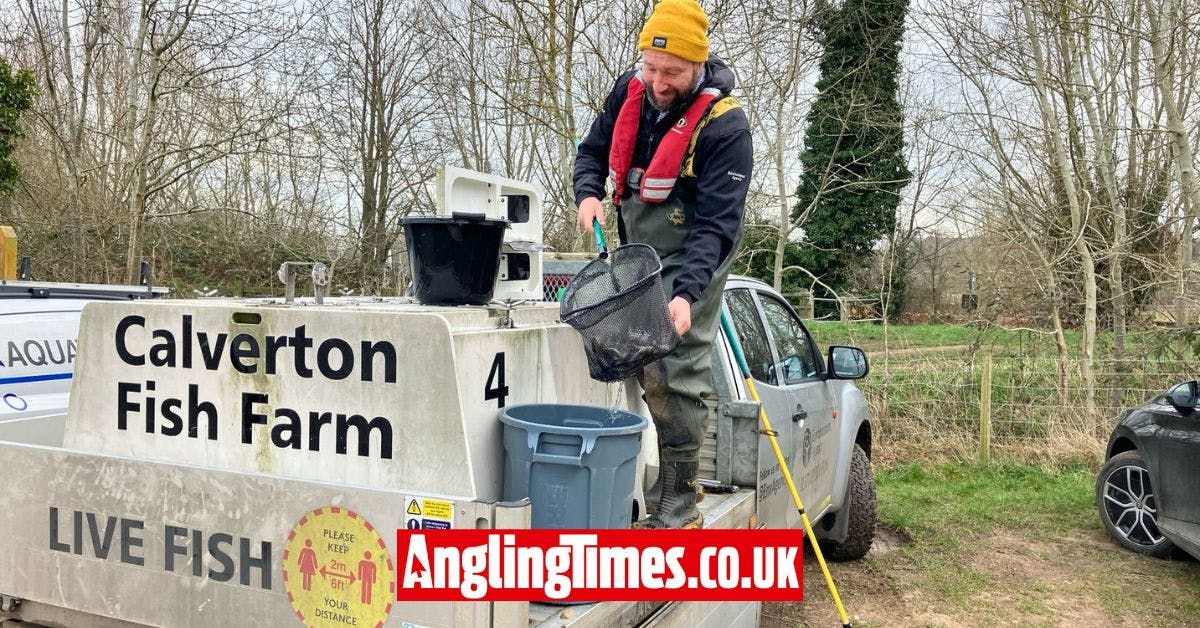 10,000 fish introduced to boost river stock levels | Angling Times
