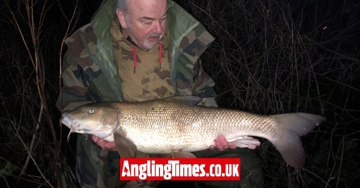 Giant Hampshire Avon fish is the second biggest UK barbel | Angling Times