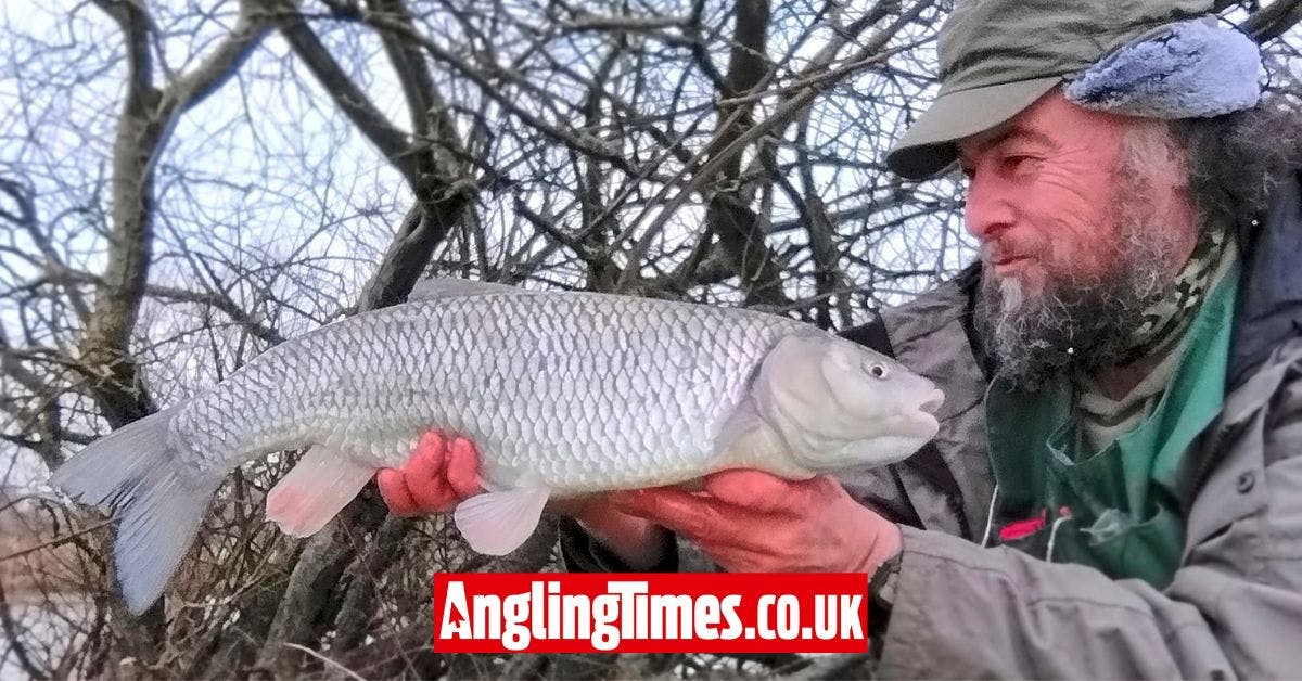 Hefty chub drags angler downstream on 2lb line | Angling Times