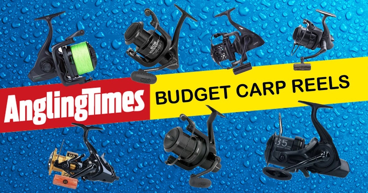Best budget carp fishing reels 2025 | catch more for less