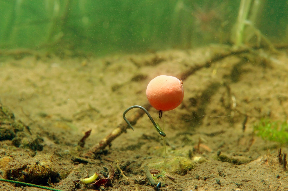 How to fish chod rigs for carp