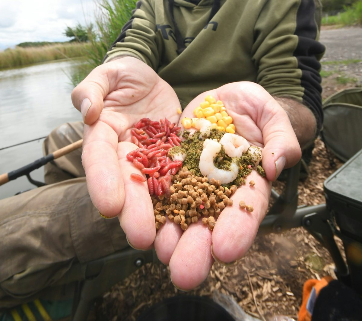 A beginners guide to tench fishing