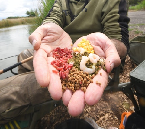 A beginners guide to tench fishing
