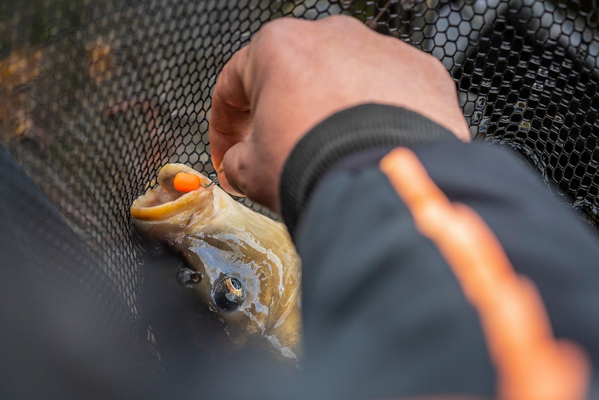 Best baits for fishing
