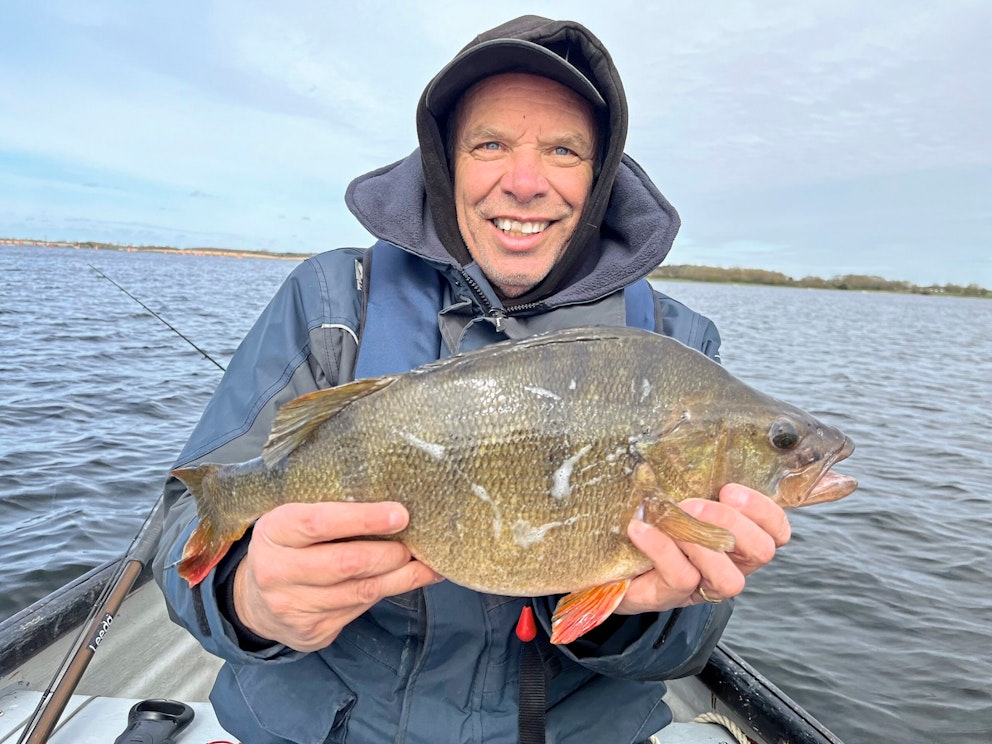 Lure Angling Society Perch Cup won with a 5lb beast | Angling Times