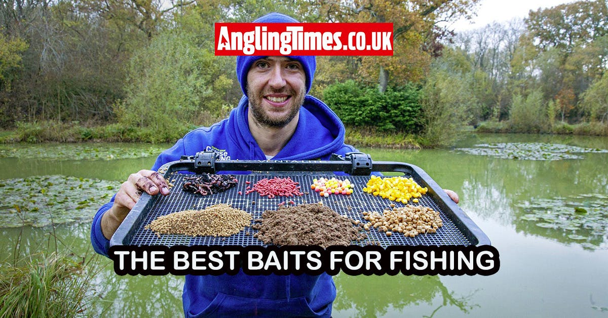 Best baits for fishing