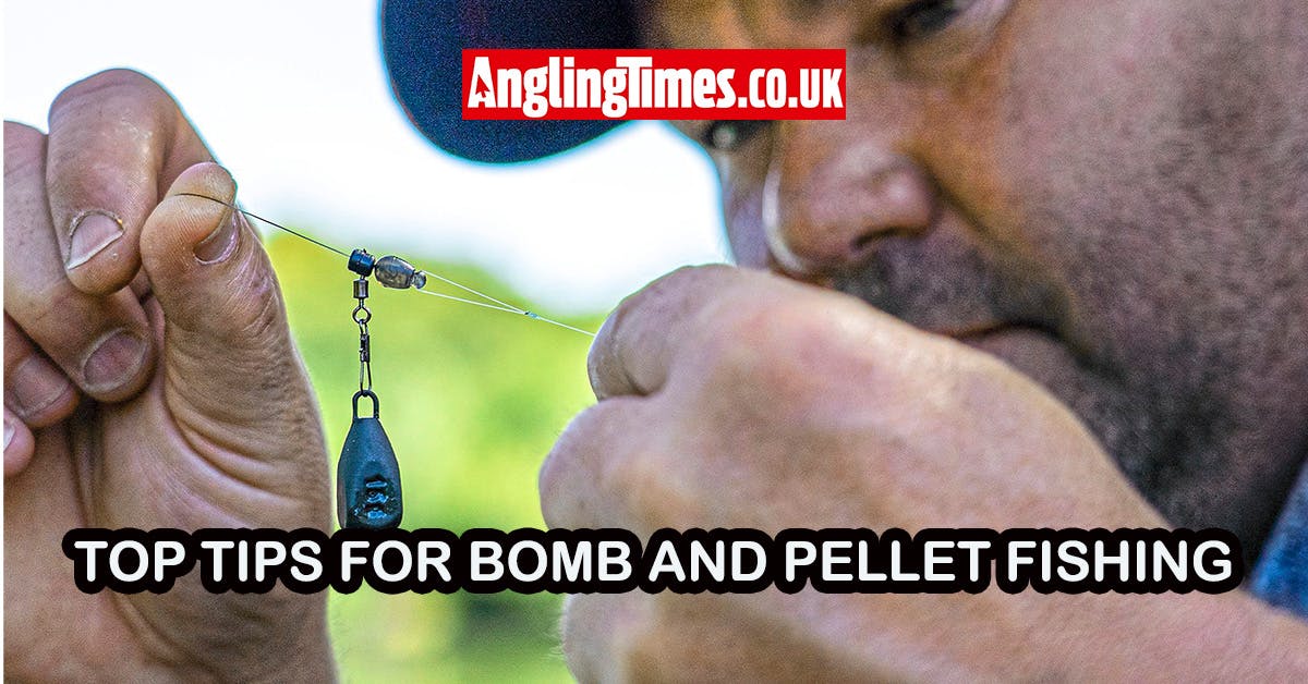 How to catch carp on the bomb and pellet