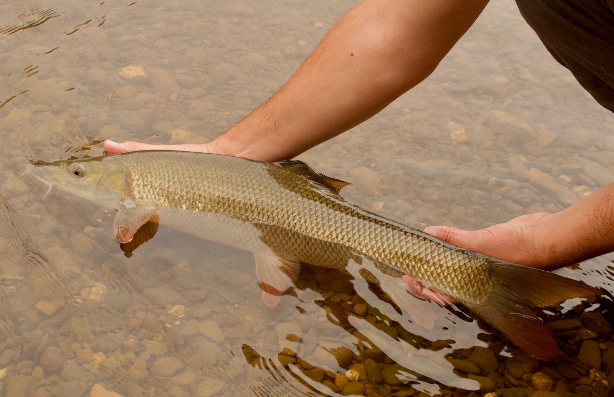 What makes angling so enjoyable? | Fishing’s perfect moments | Angling ...