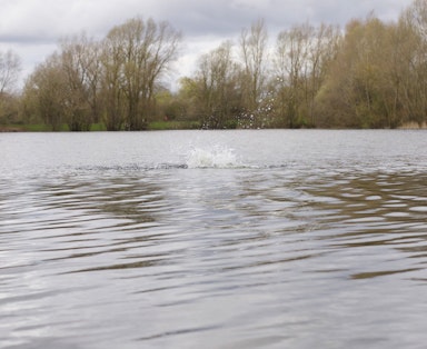 How to approach spring carp fishing | avoid these mistakes | Angling Times