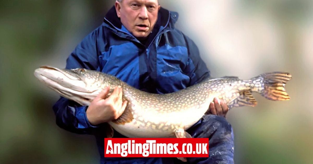 Angler banks one of the biggest-ever river pike | Angling Times