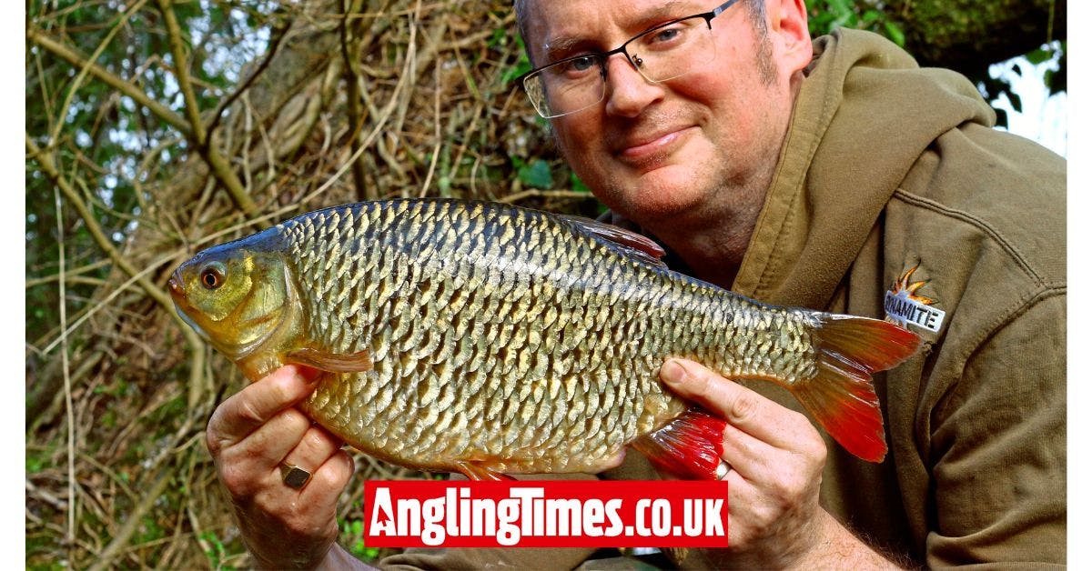Unusual bait choice results in massive rudd capture | Angling Times