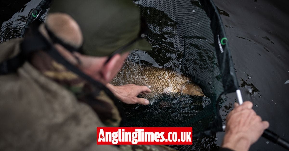 What makes angling so enjoyable? | Fishing’s perfect moments | Angling ...