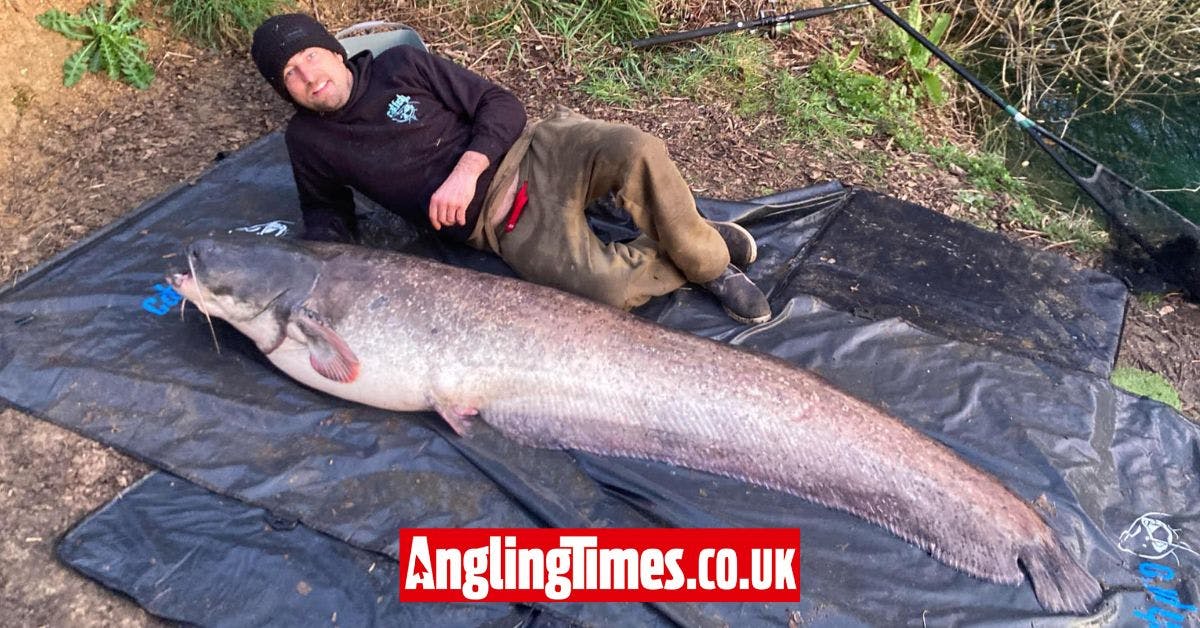 Father and son catch giant catfish bigger than themselves | Angling Times