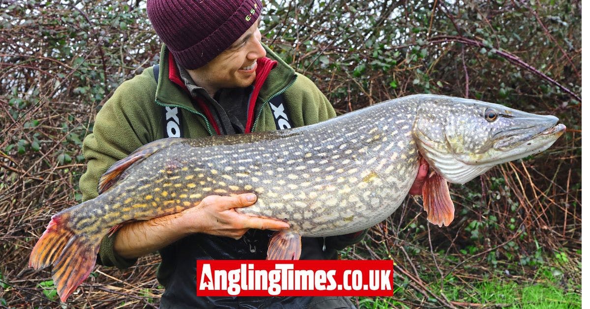 Prebaiting leads to downfall of canal monster | Angling Times