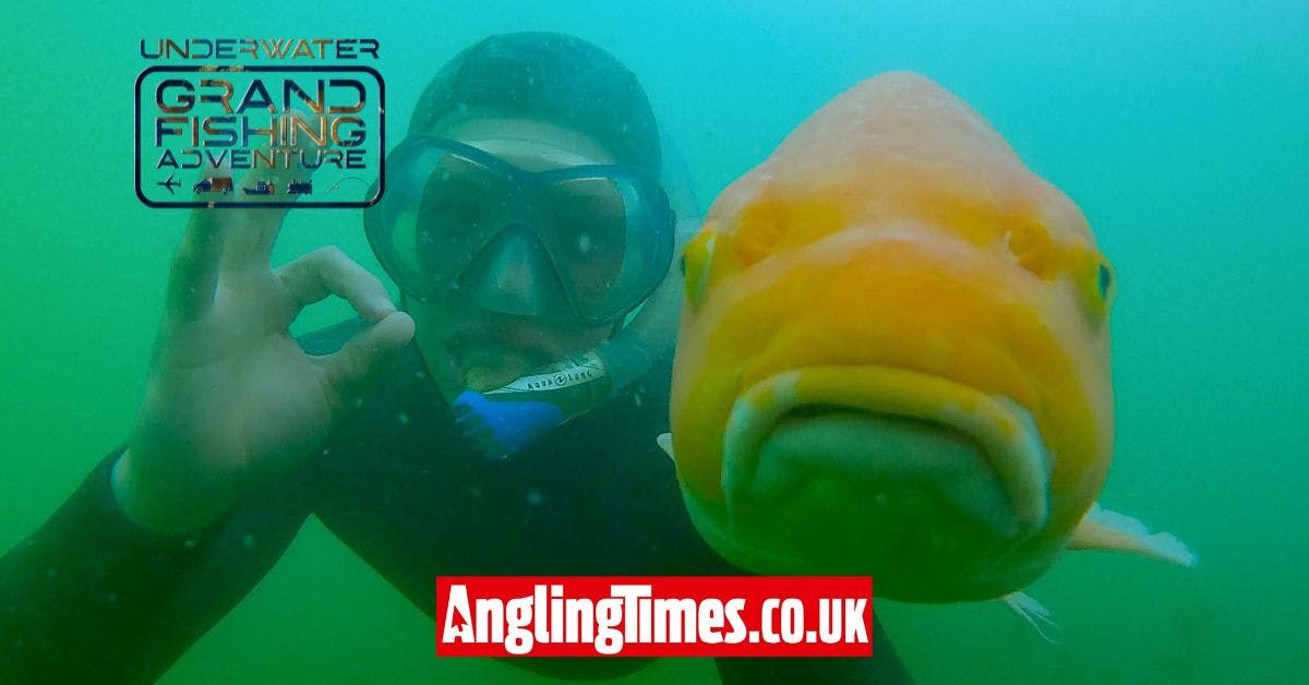 The Grand Fishing Adventure is BACK with more carp than ever | Angling ...