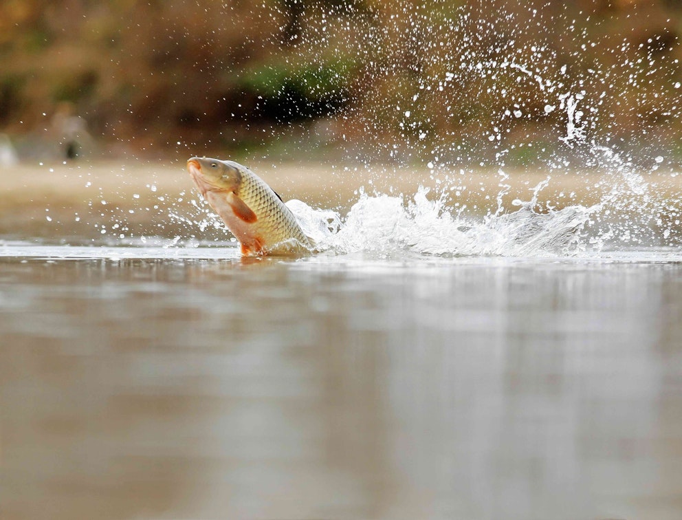 20 of the best summer fishing tips