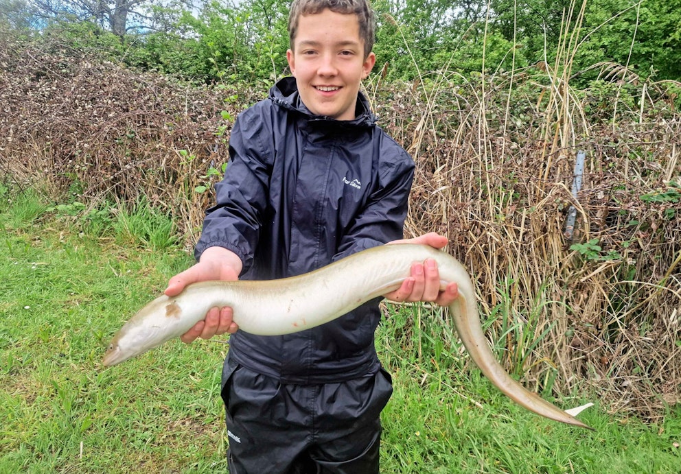 Teen banks superb eel from carp fishery | Angling Times