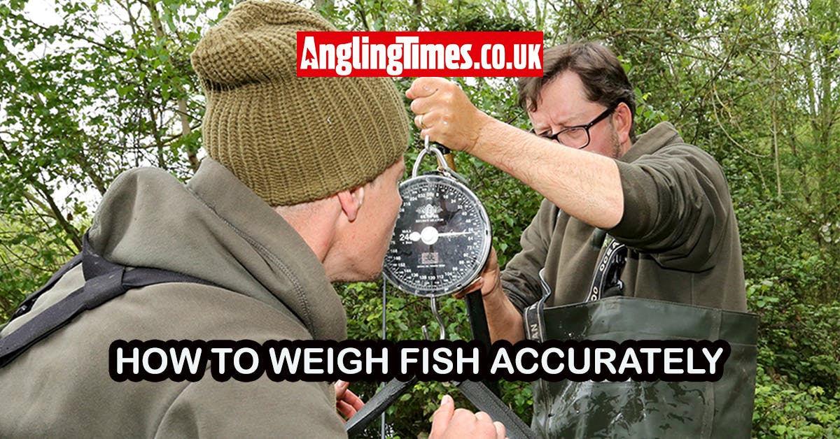 How to weigh fish safely and accurately