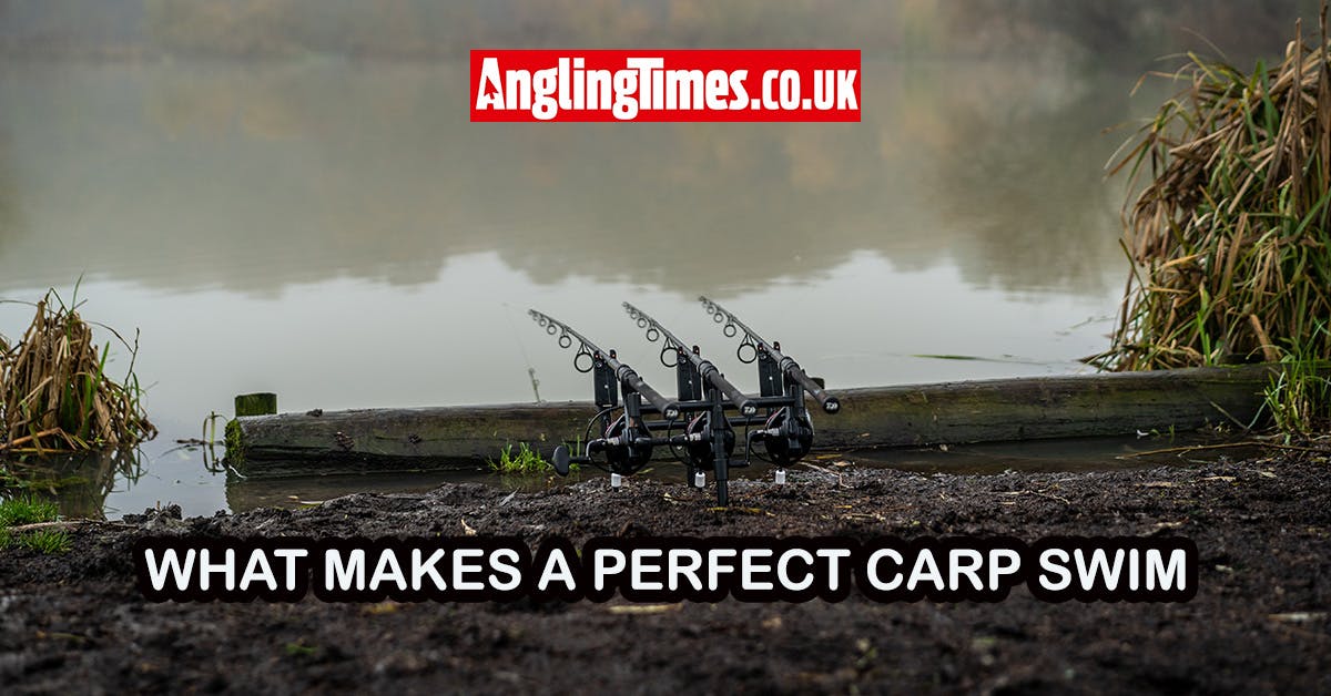 The best features on a lake to catch carp