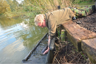 How to weigh fish safely and accurately