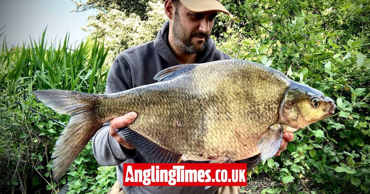 16 double-figure bream banked on a feeder rod during incredible session ...