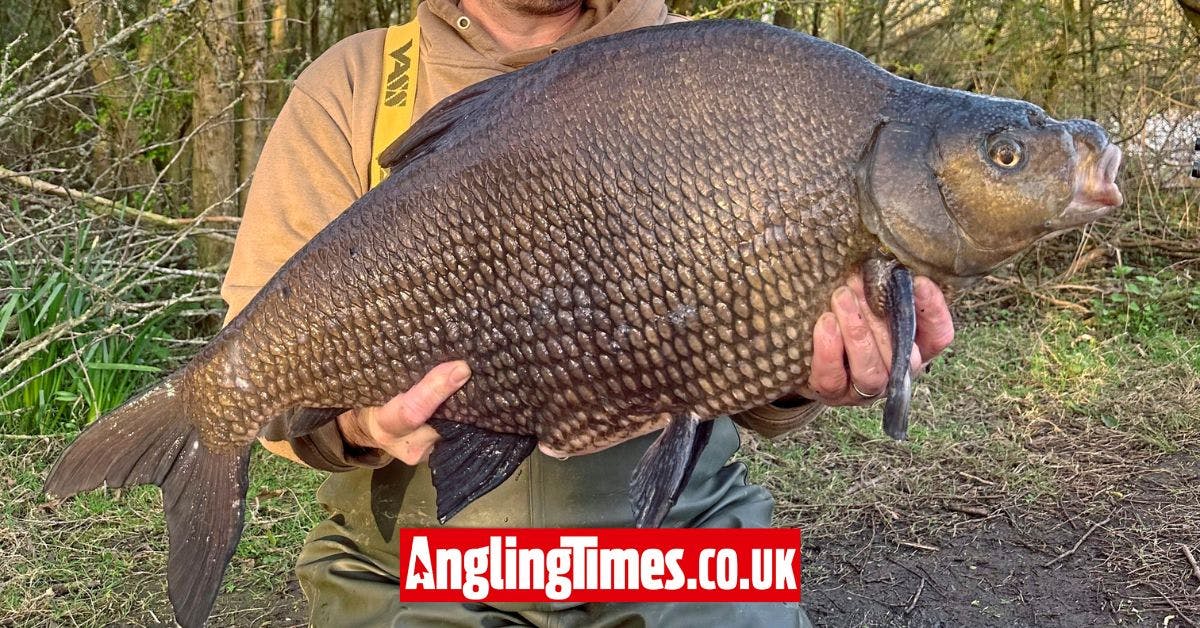 Incredible run of form results in another huge bream | Angling Times