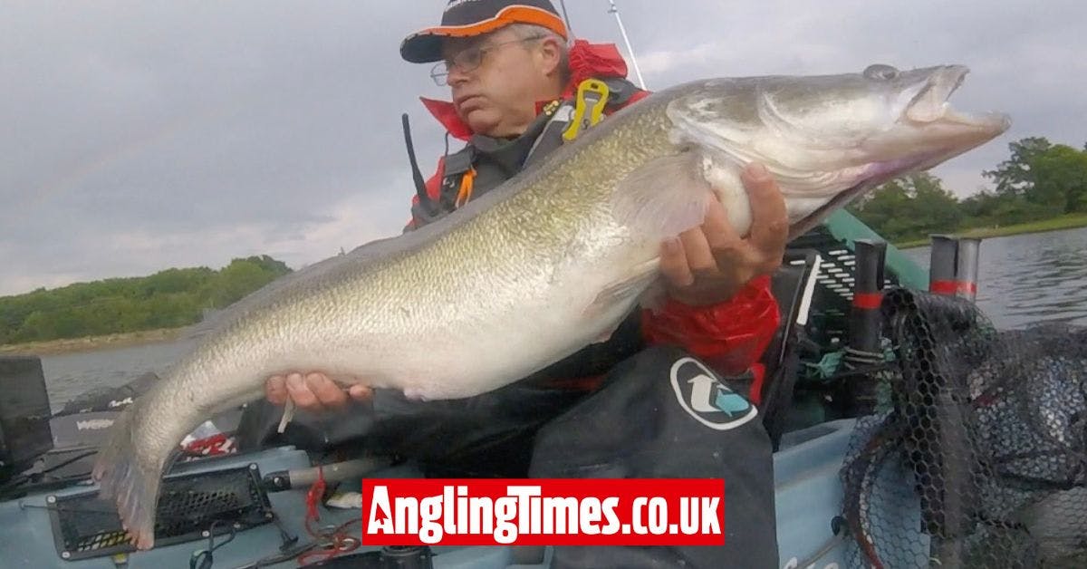 Massive zander caught with help of fish finder | Angling Times