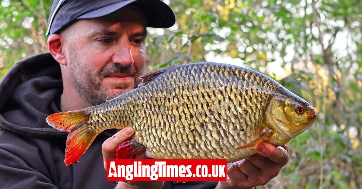 Clever scaled down carp rig fools enormous rudd | Angling Times