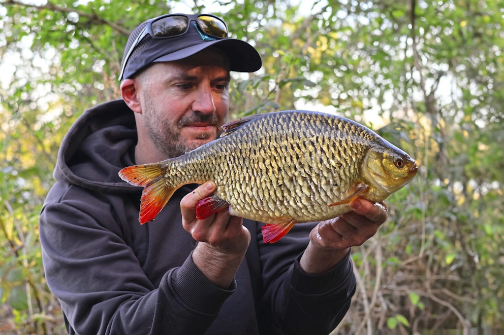 Clever scaled down carp rig fools enormous rudd | Angling Times