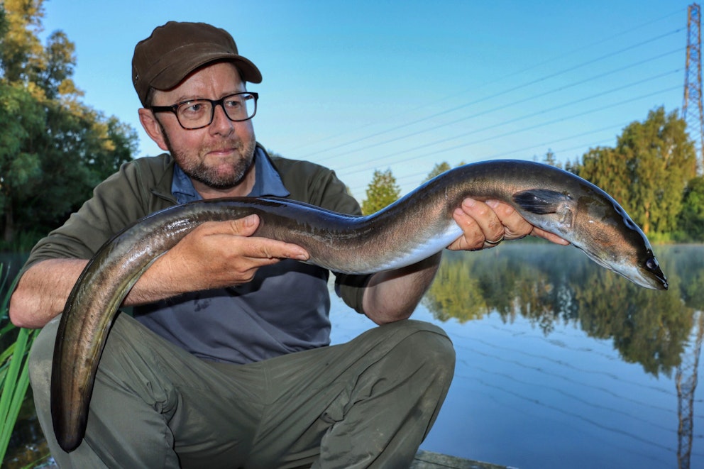 The best baits for eel fishing | Angling Times