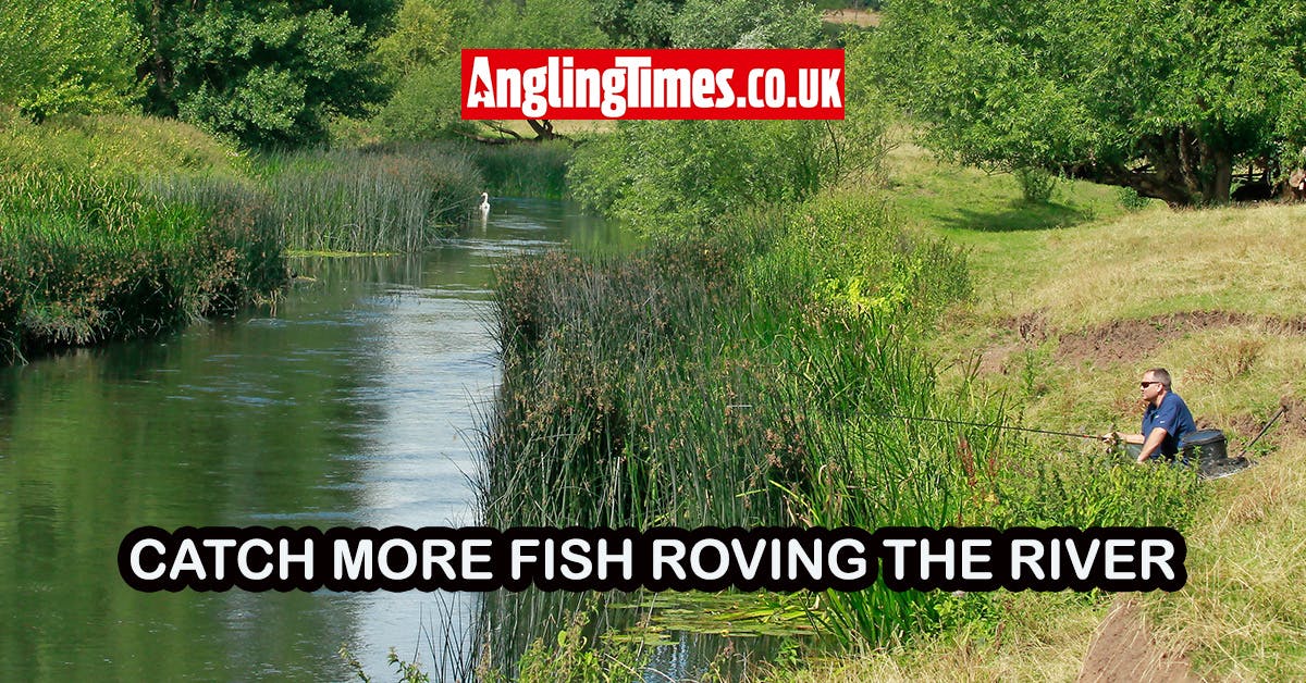Go roving to start the river season | James Robbins | Angling Times