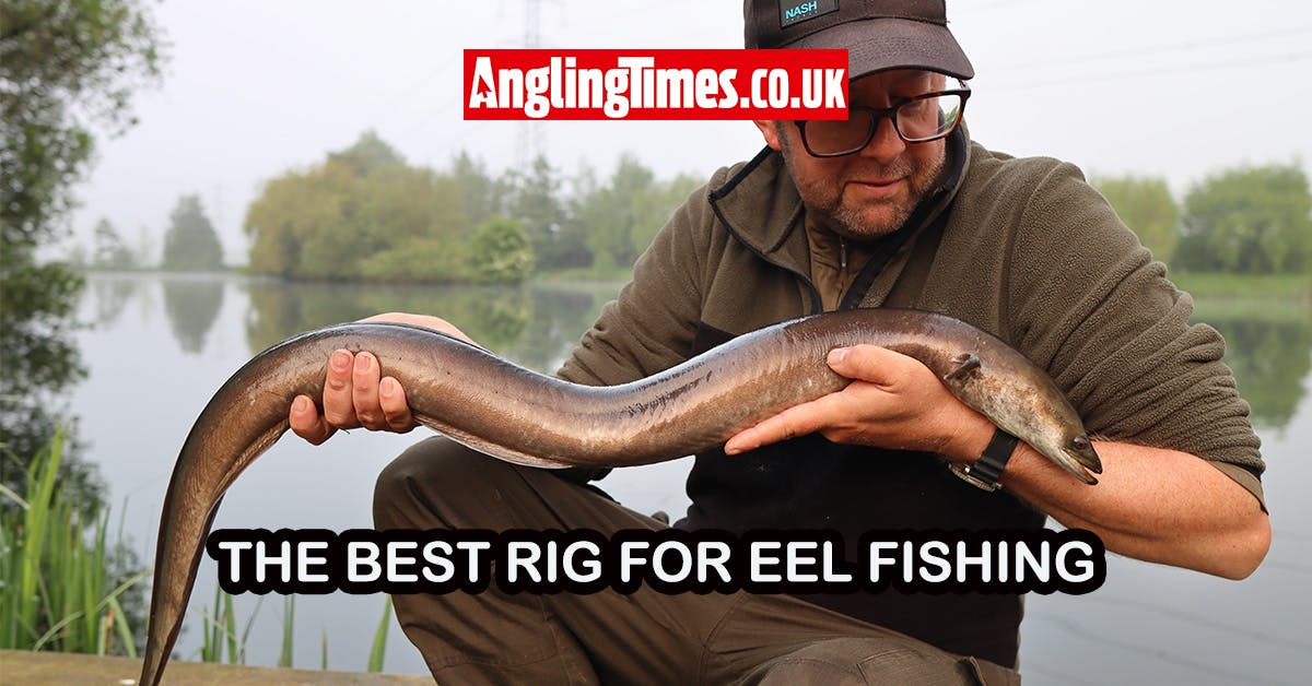 Rigs | Advice | Angling Times