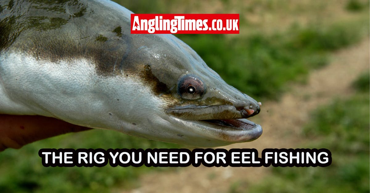 How to tie the twig rig for eel fishing