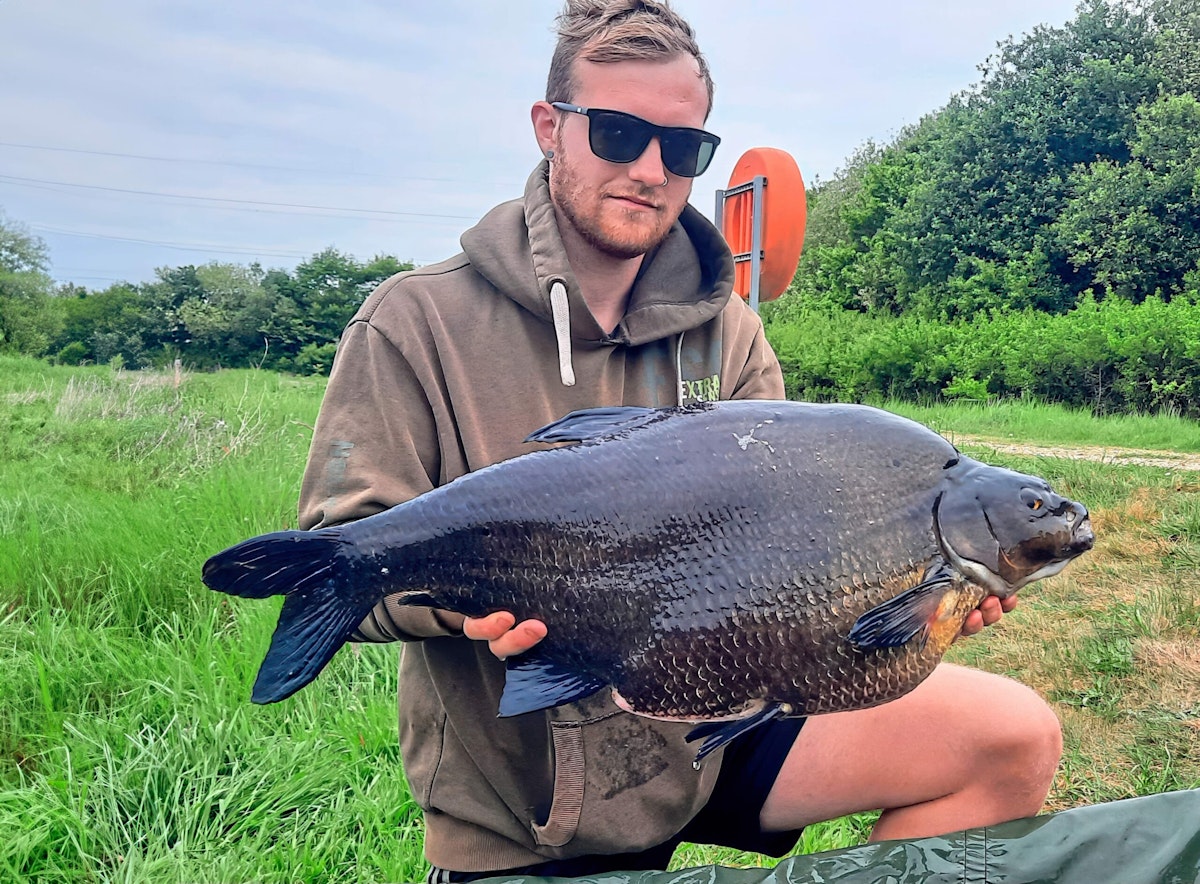 It has been a remarkable month for massive bream | Angling Times
