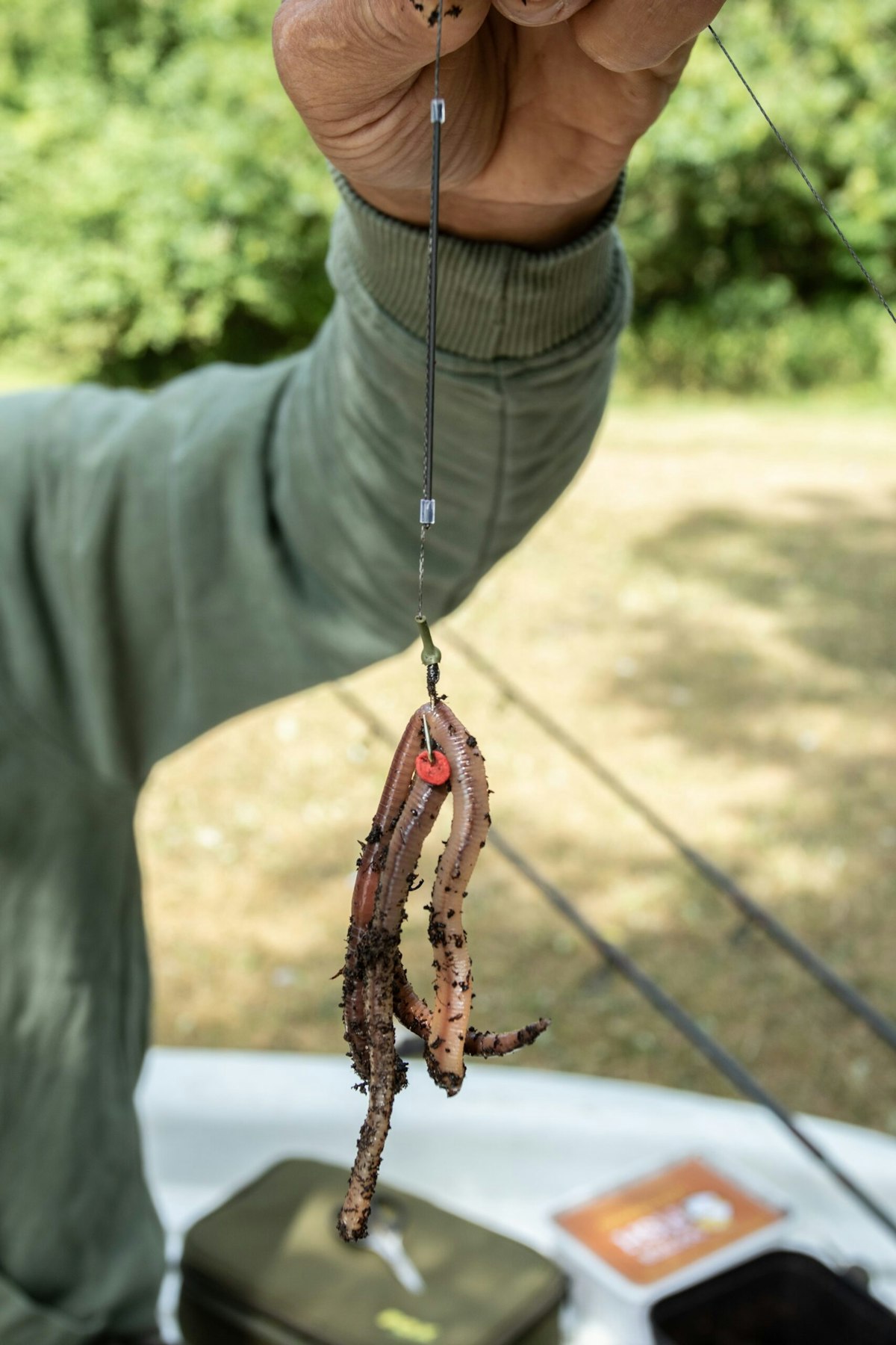 The best baits for eel fishing | Angling Times