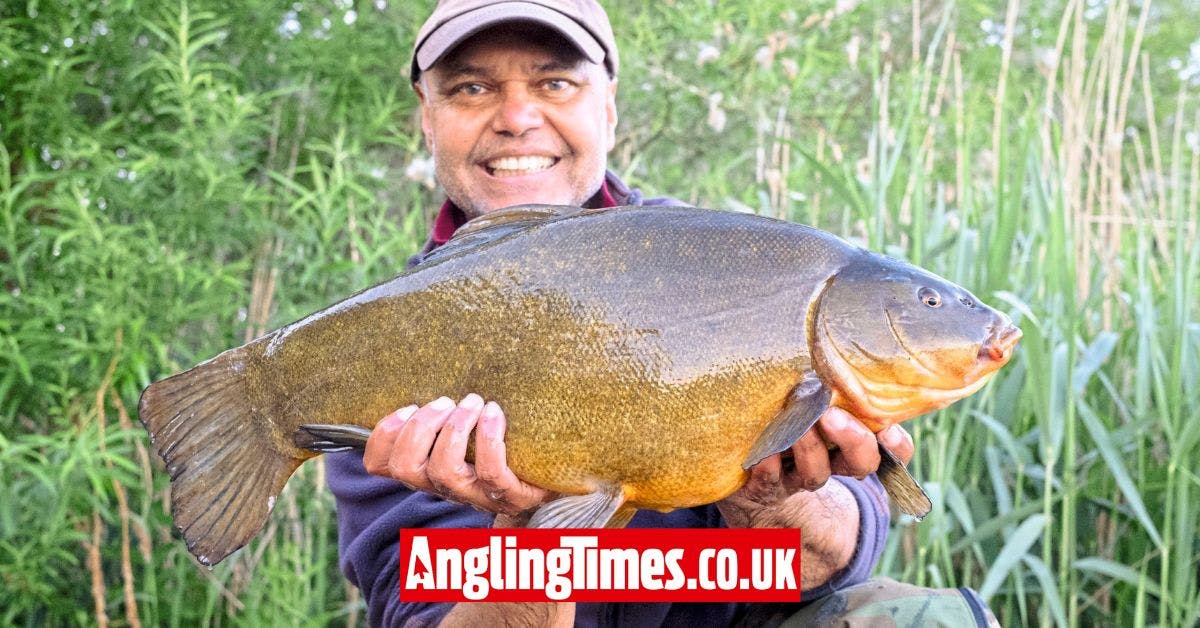 Huge float-caught tench is a new record | Angling Times