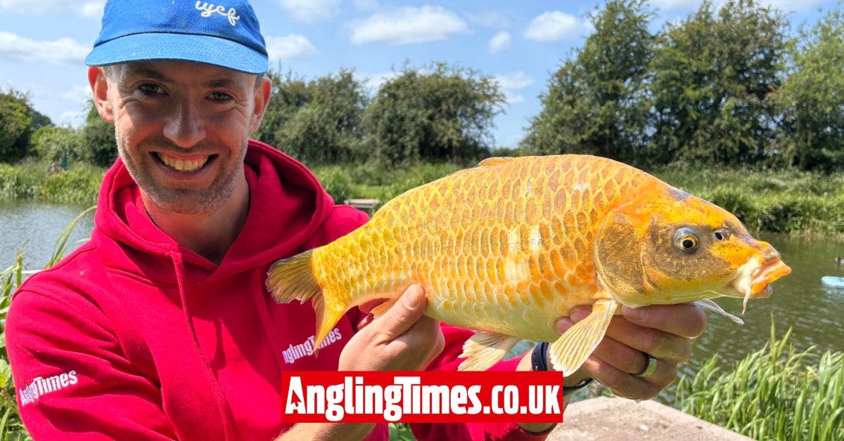 Angler catches the ‘best looking fish in the lake’ | Angling Times