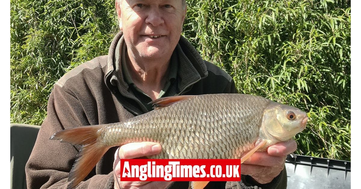 Roach legend experiences some of the most incredible roach fishing ever ...