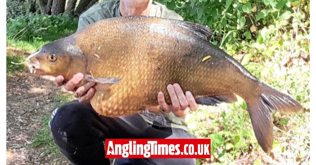 A record-shaking bream has been caught | Angling Times