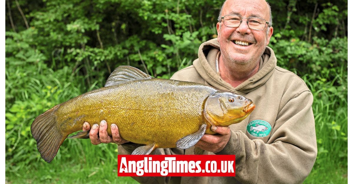 National Tench Championships 2025 is a tremendous success | Angling Times