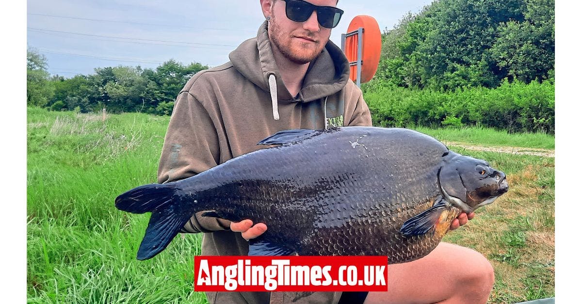 It has been a remarkable month for massive bream | Angling Times