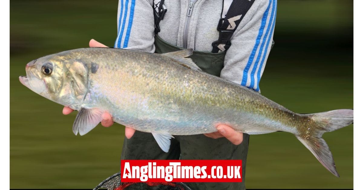 Shock capture of one of the UK’s rarest fish species | Angling Times