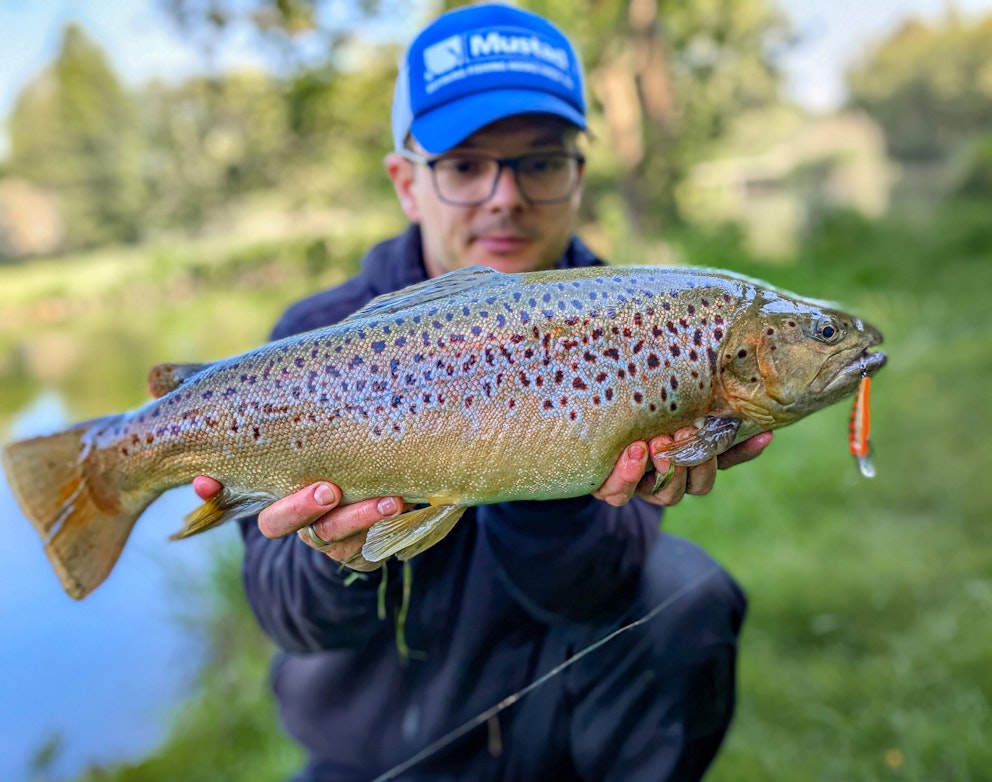 Tremendous trout landed from small stream | Angling Times