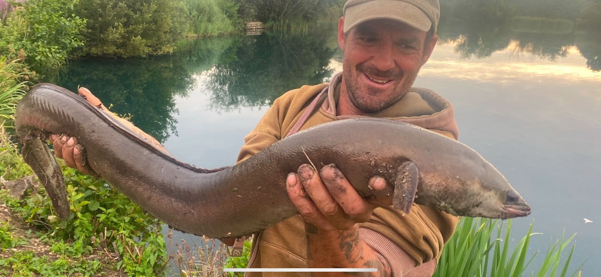 Gigantic eel falls just short of the British Record | Angling Times