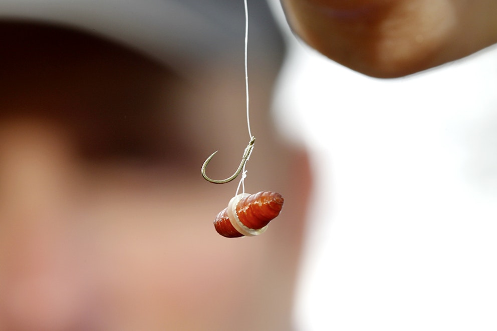 5 Best Baits for Shallow Fishing
