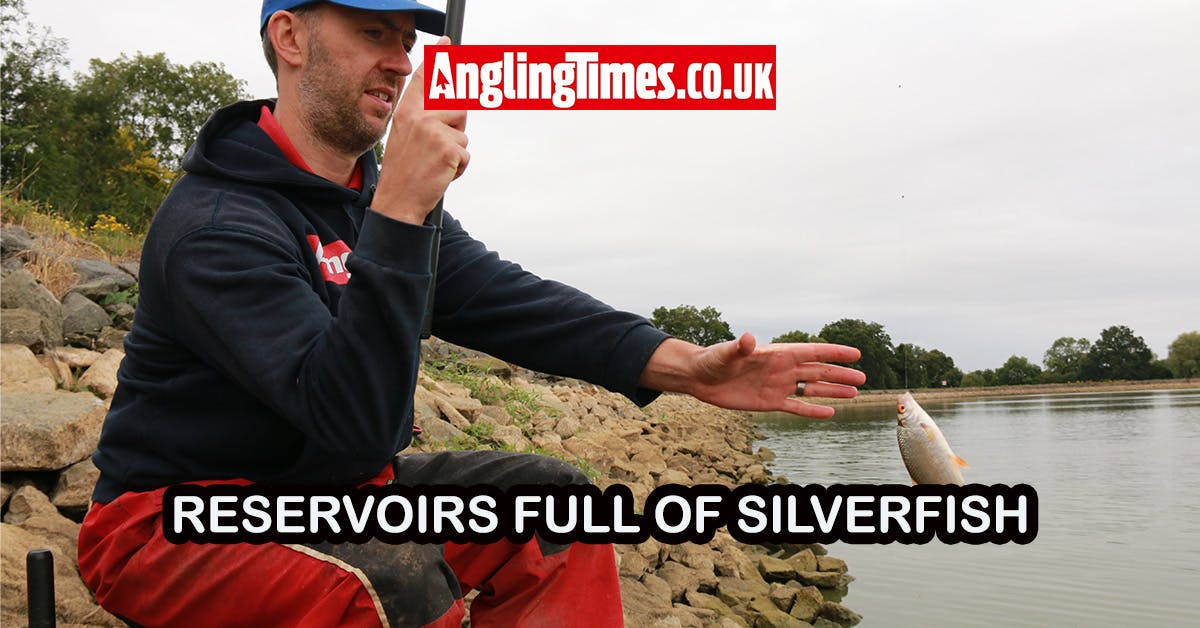 Fishing near me | Reservoirs full of silverfish | Angling Times