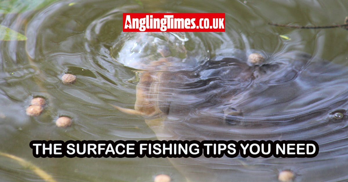 8 surface fishing tips to help you catch more carp | Angling Times